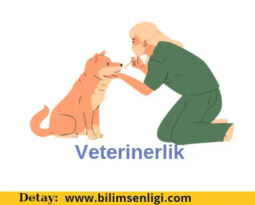 Veterinerlik Bölümü Neden Tercih Etmeliyim? | Türkiye Eğitim Kampüsü