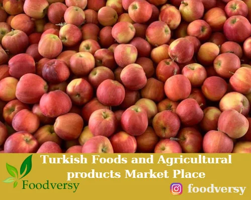 Premium Turkish Fresh Red Gala Apples – Ready for Export! | Türkiye ...
